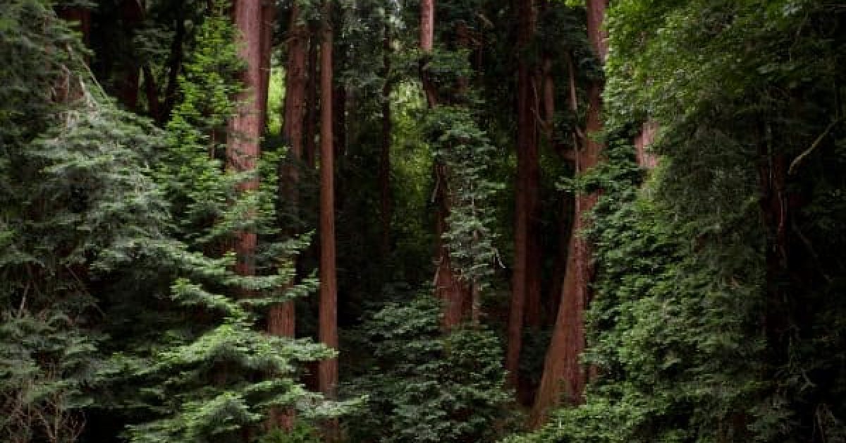 Custom Software Case Study | Inspection Fines Management – Unstoppable ...